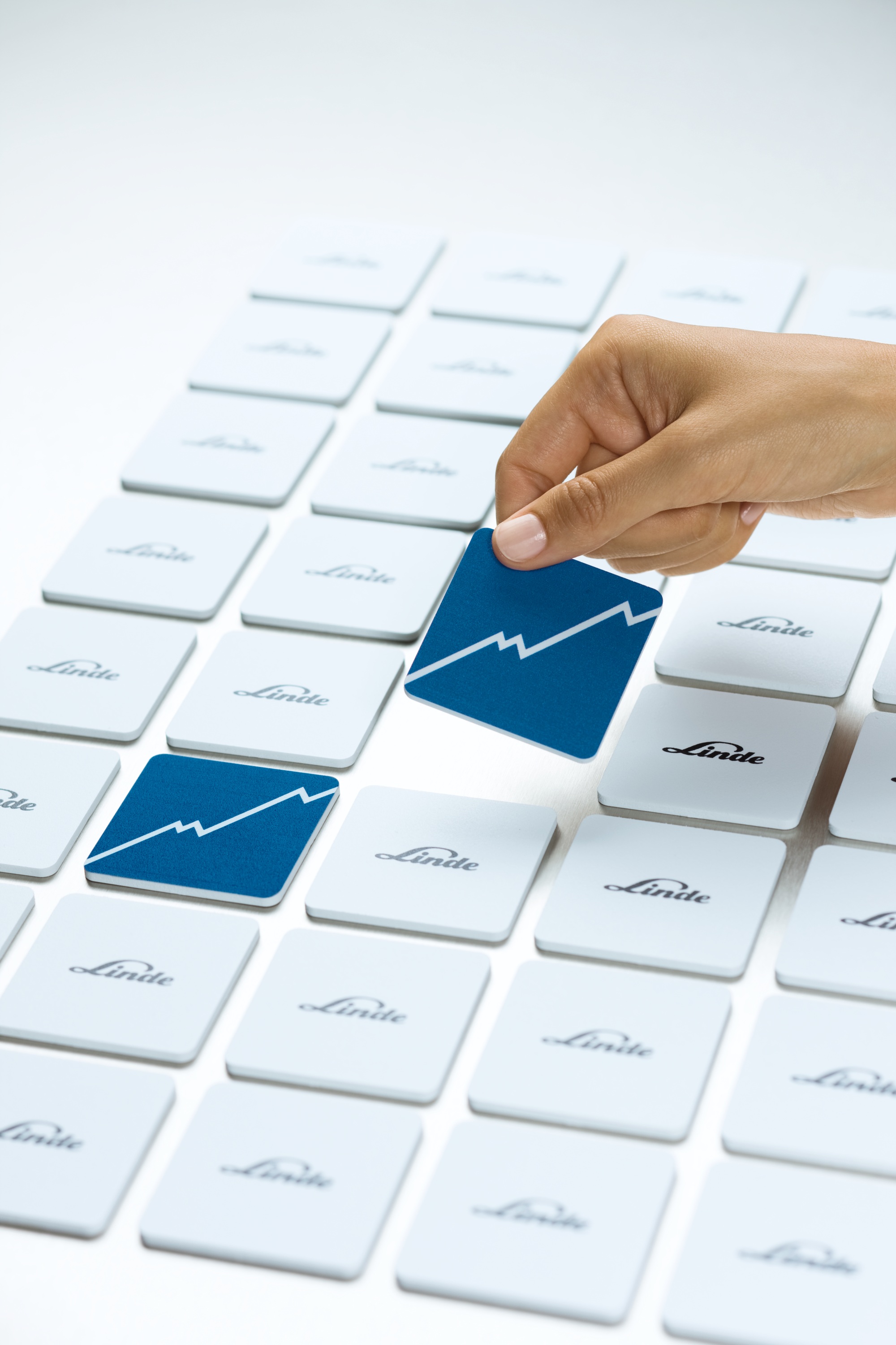 Shareholder Services | Linde